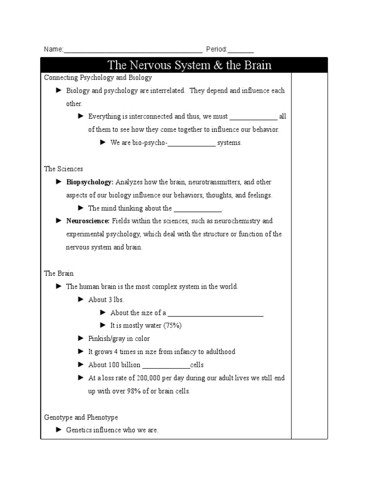 Copy of the Brain and Nervous System Fill in the Blanks | PDF
