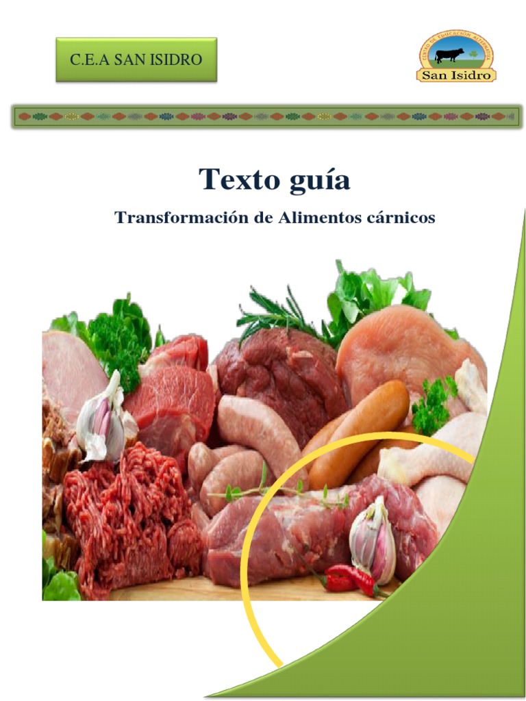 Texto Guia Tecnico Basico | PDF