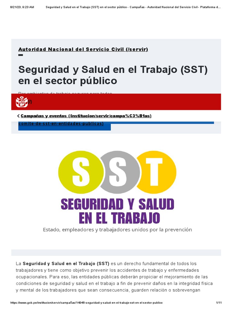 Seguridad y Salud en El Trabajo (SST) en El Sector Público - Campañas - Autoridad Nacional Del ...