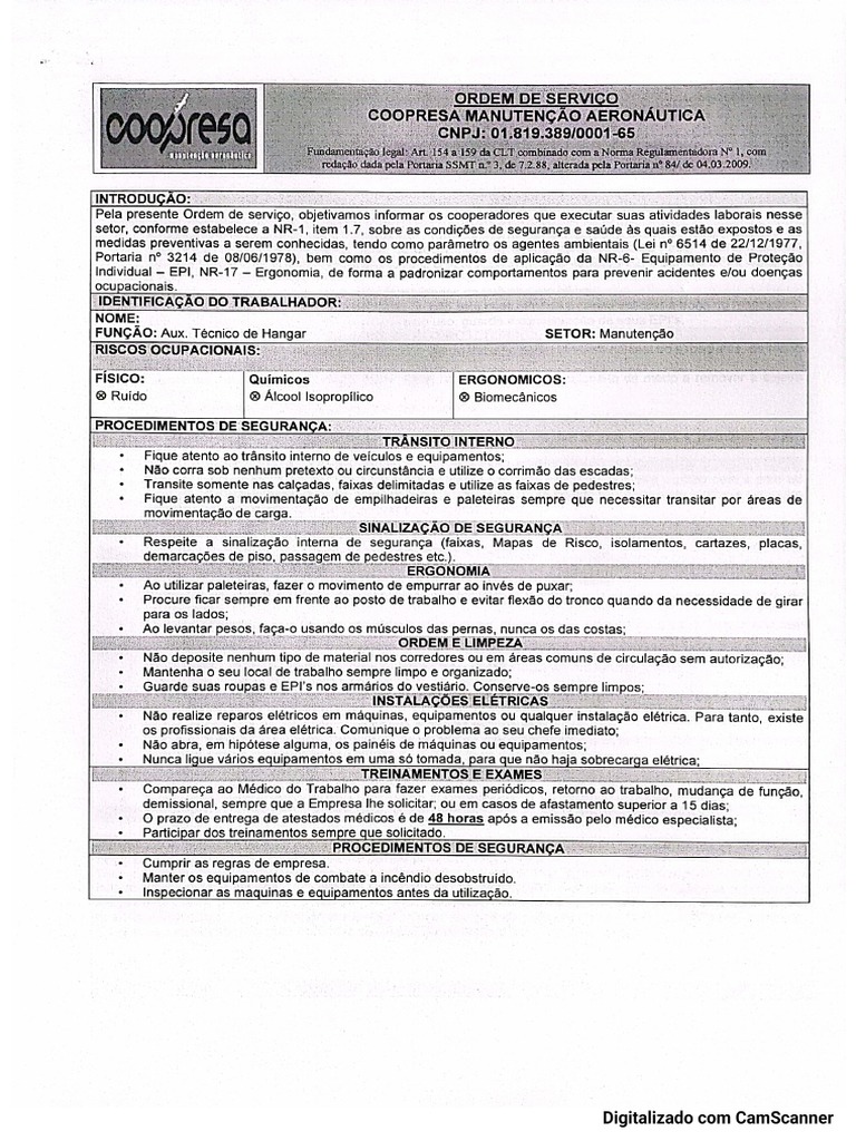 Modelo Ordem de Serviço NR 01 Auxiliar | PDF