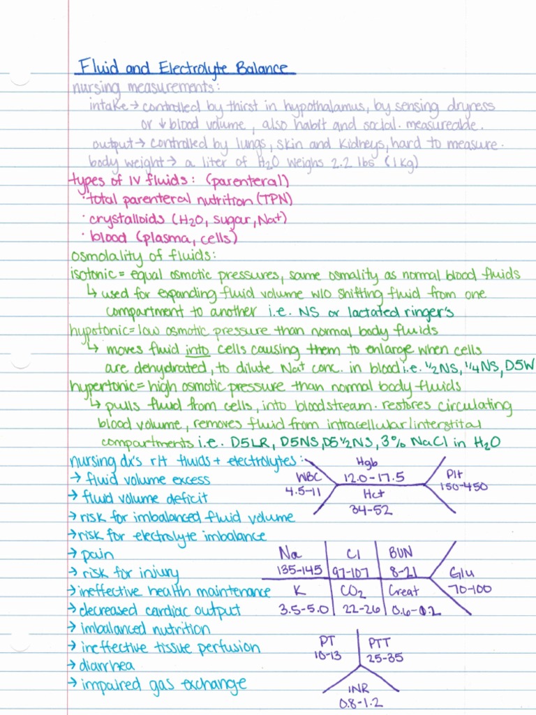 Fluid and Electrolyte Balance Handwritten Note | PDF