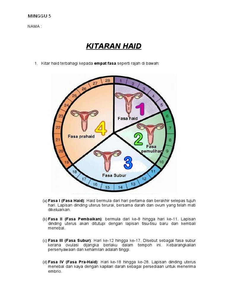 Kitaran Haid | PDF