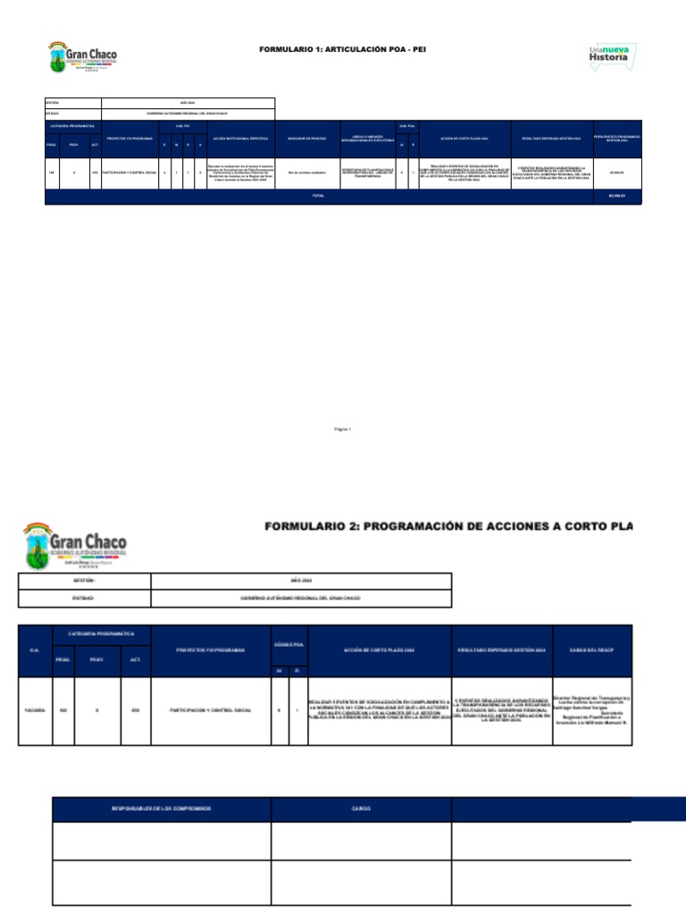 Formularios Poa 2024 | PDF | Presupuesto