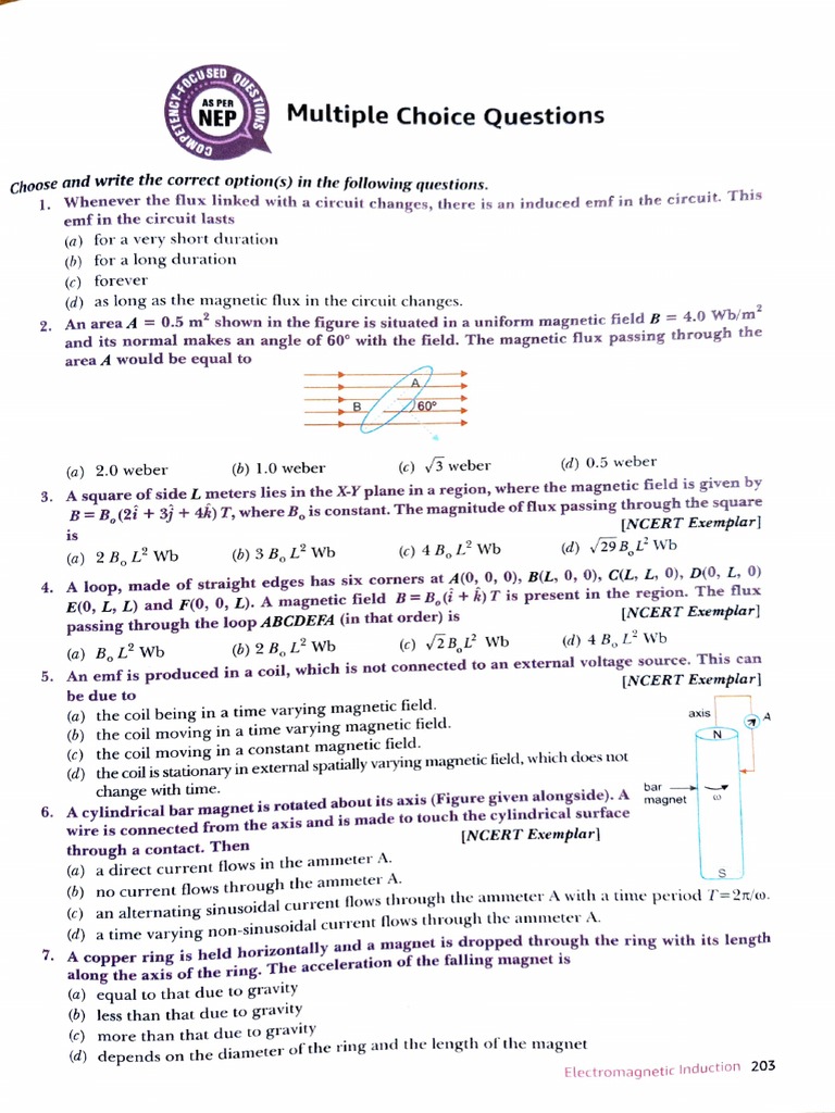MCQ, CH - 6 (Emi) | PDF