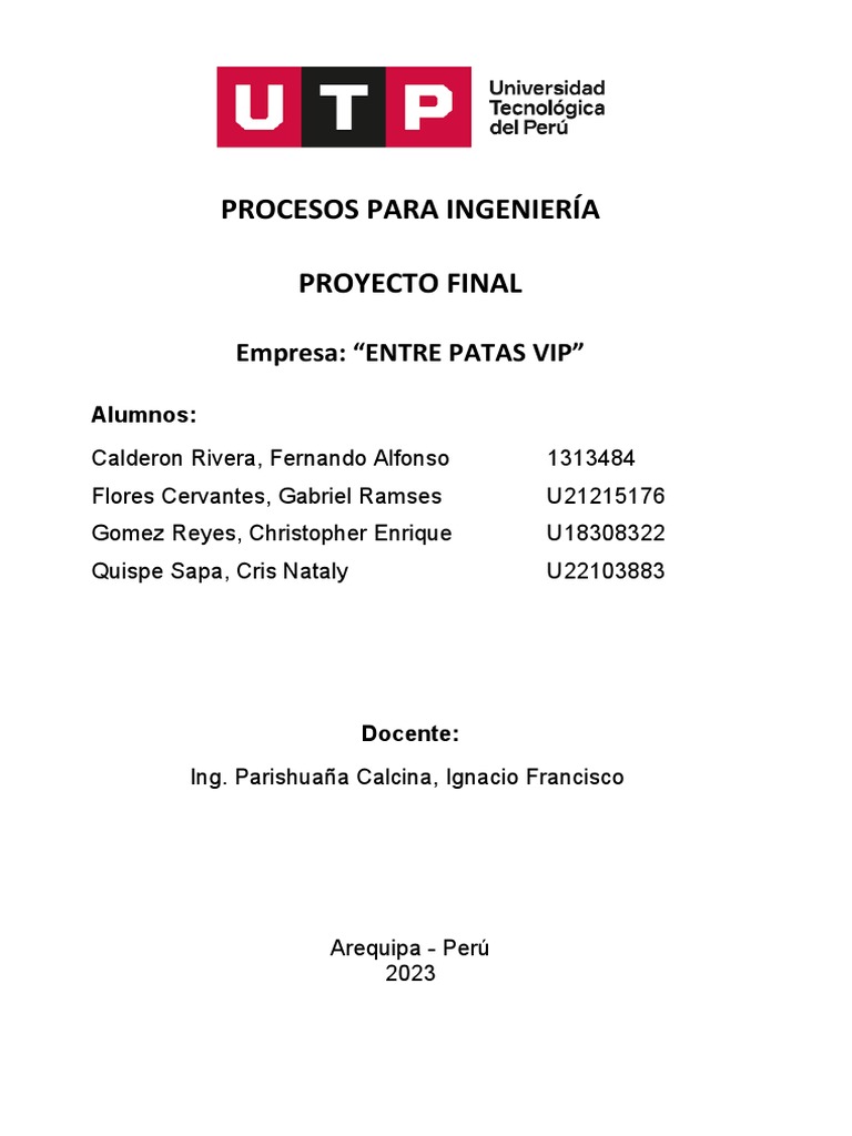 Proyecto Final | PDF