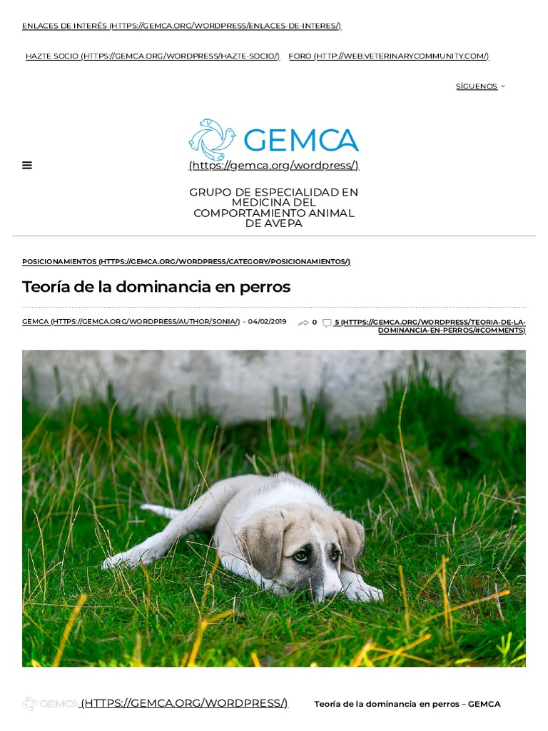 Teoría de La Dominancia en Perros - GEMCA | PDF | Cookie HTTP | Invasión