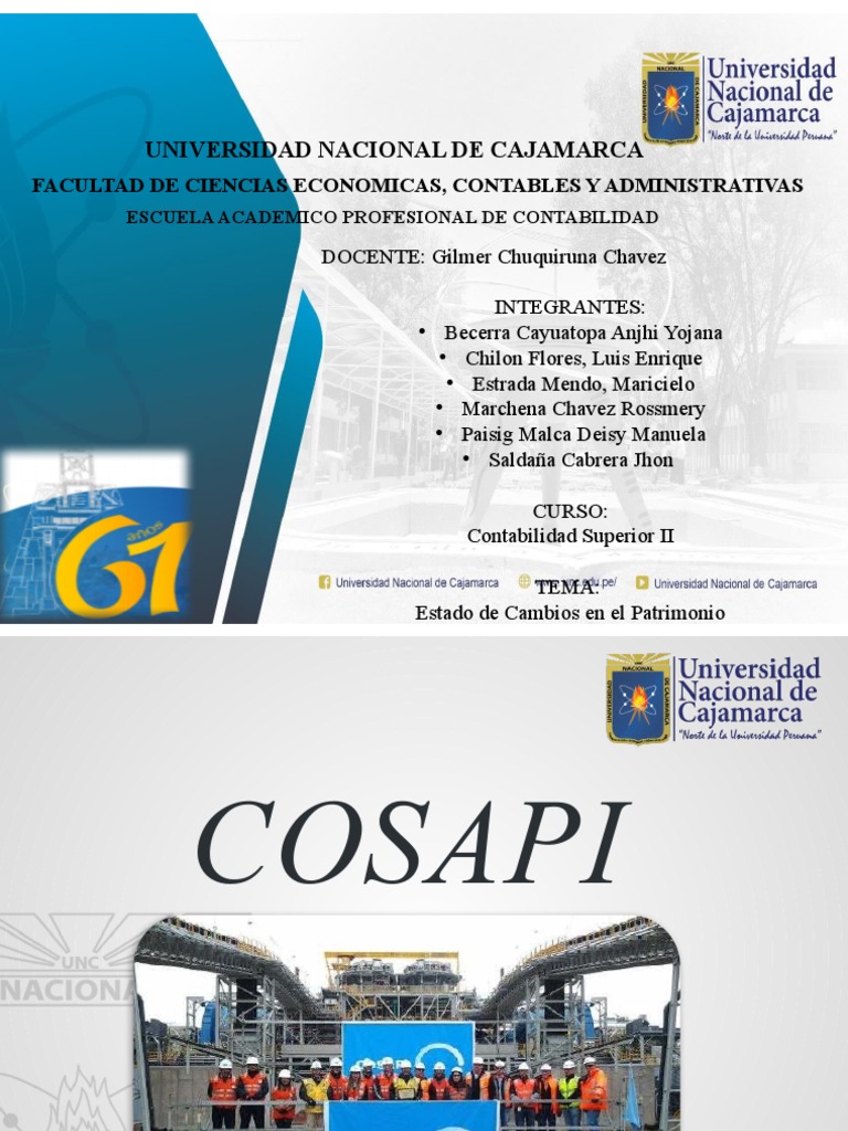 Cosapi Sa | PDF | Estado de resultados | normas internacionales de INFORMACION FINANCIERA
