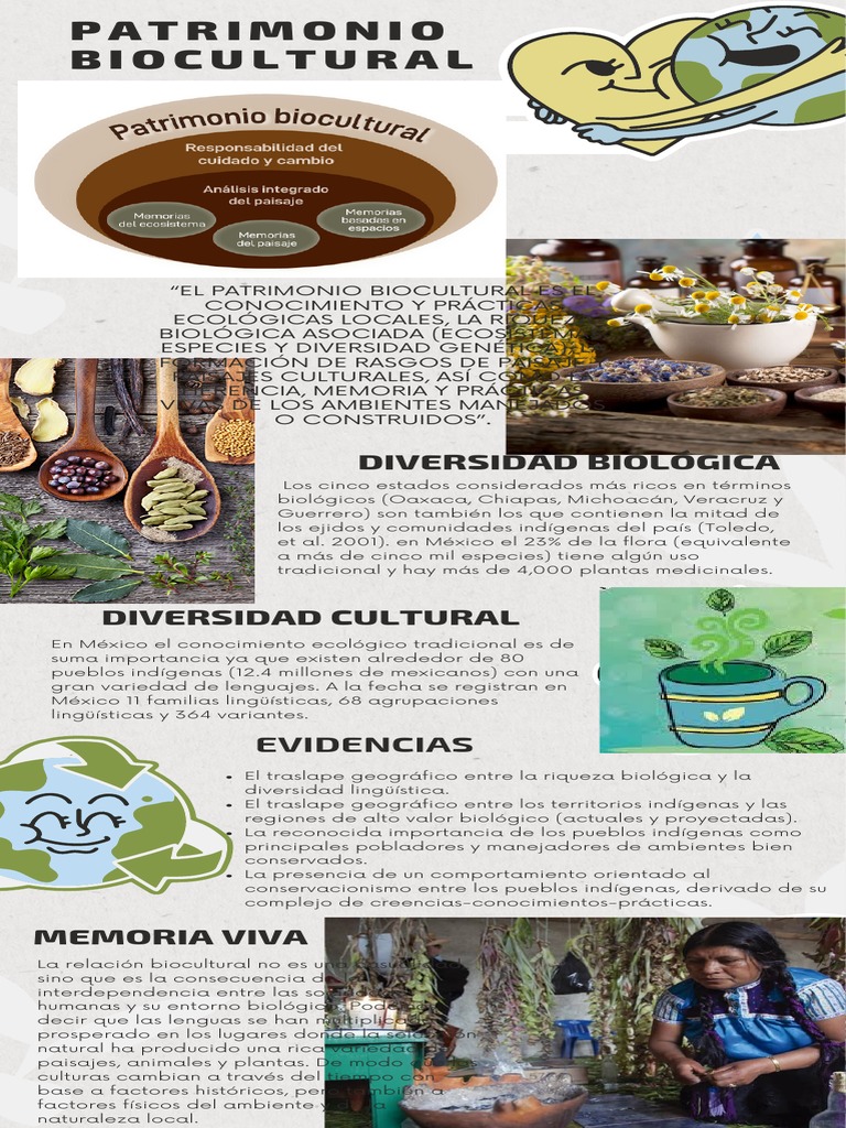 Patrimonio Biocultural Pdf México Biodiversidad