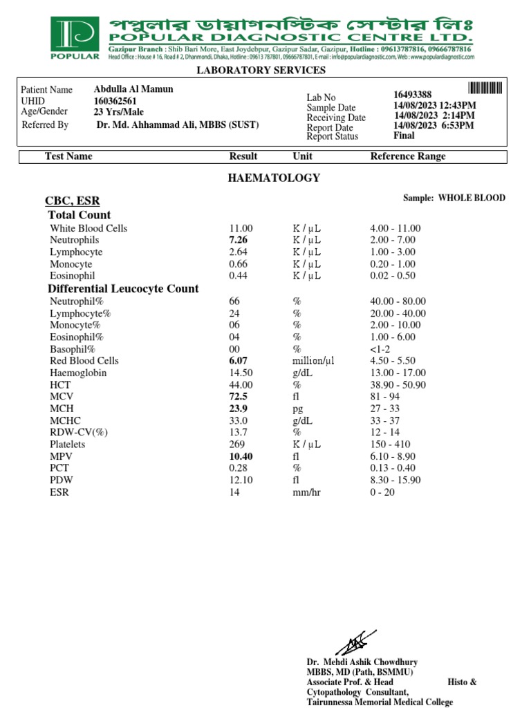 Lab Result | PDF | White Blood Cell | Hematology