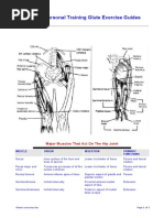 Muscles of The Lower Limb (ADAM) | PDF | Foot | Human Leg