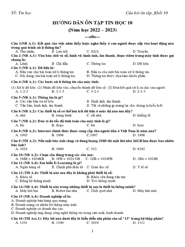 Tin 10 TN Ôn Tập BSKT | PDF