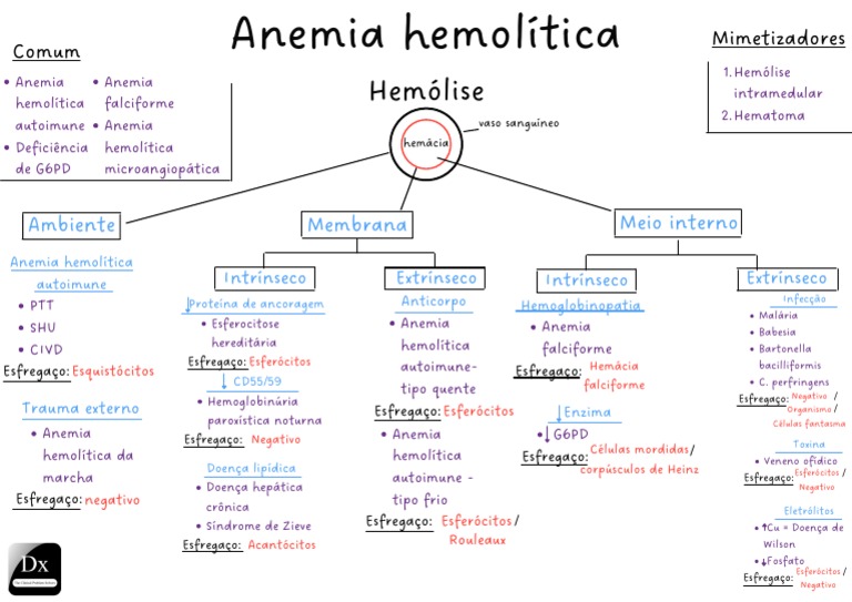 Mapa Mental Anemias | PDF