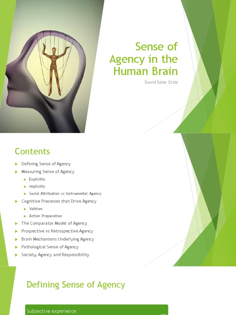 Sense of Agency in The Human Brain | PDF | Perception | Senses