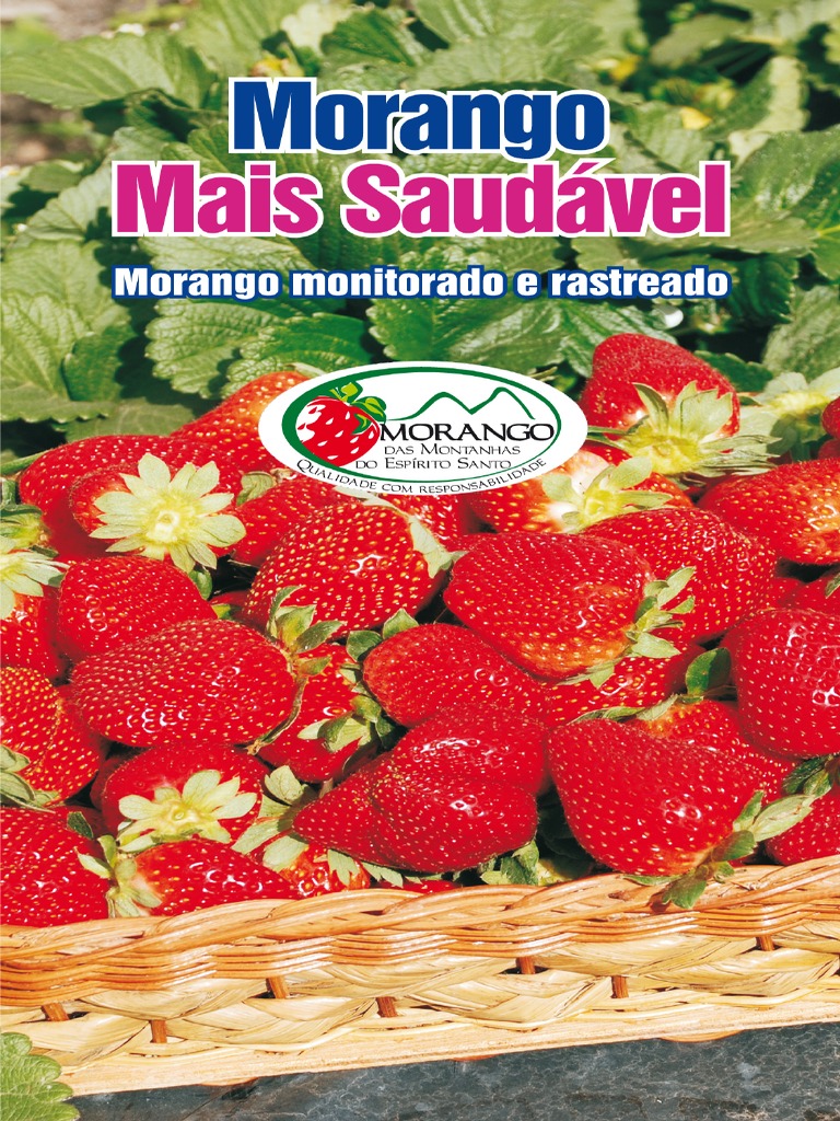 Folder Programa Morango Mais Saudavel | PDF