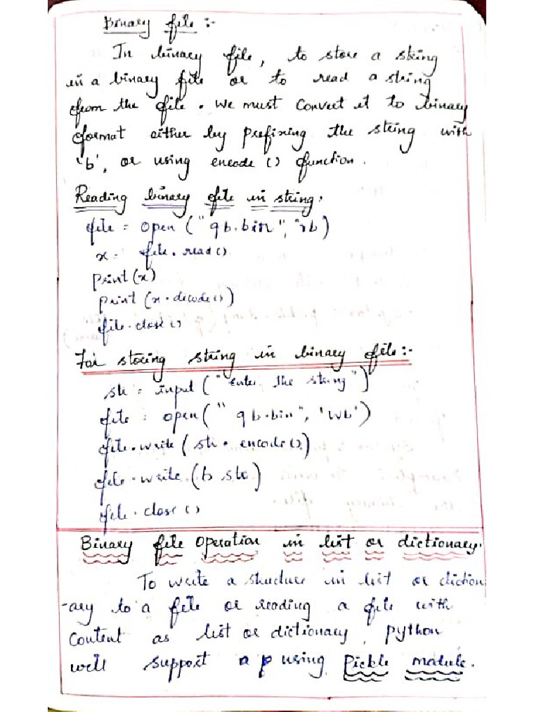Binary File Notes | PDF