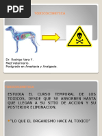 Toxicocinética y Toxicodinamia | PDF | Toxicidad | Excreción