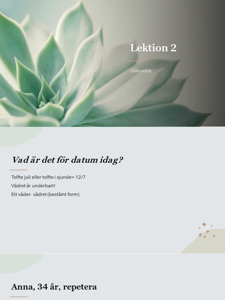 A2 - Lektion 2 | PDF