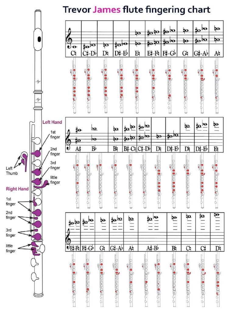 Fingeringchart | PDF