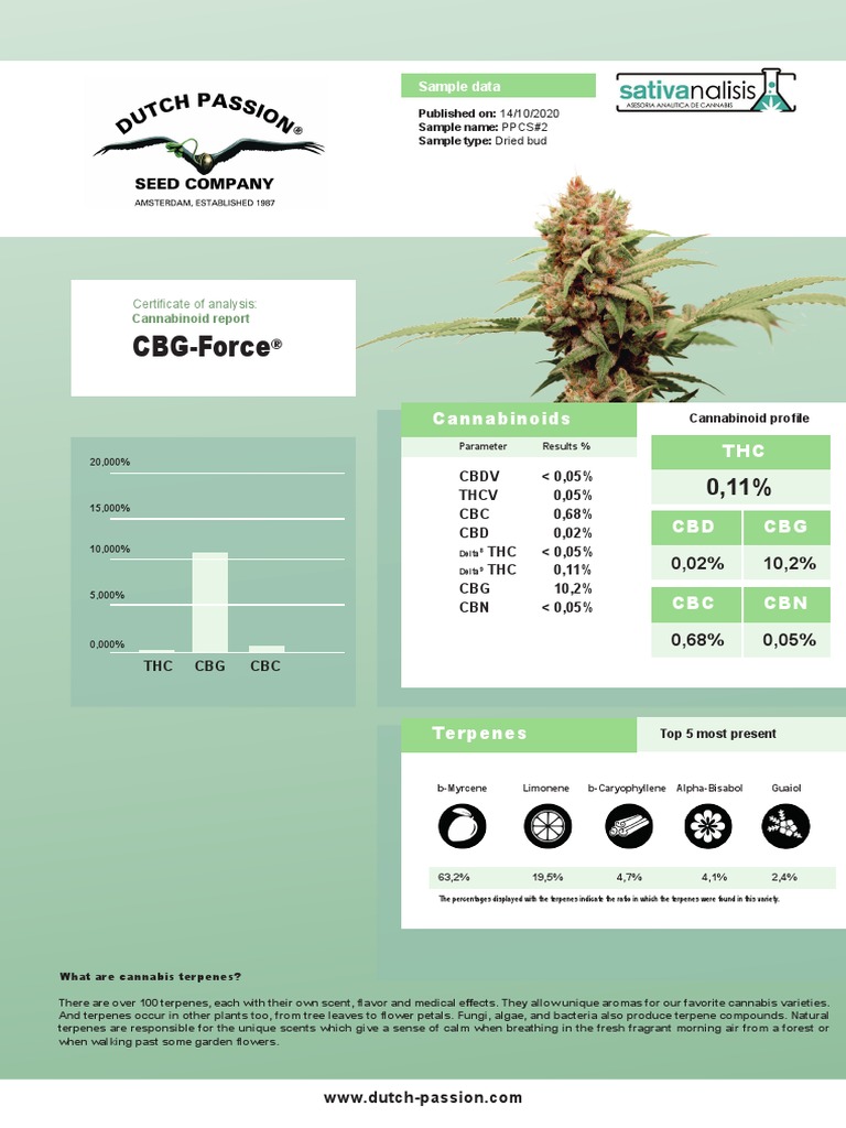 CBG-Force Lab Results Dutch Passion | PDF | Cannabis