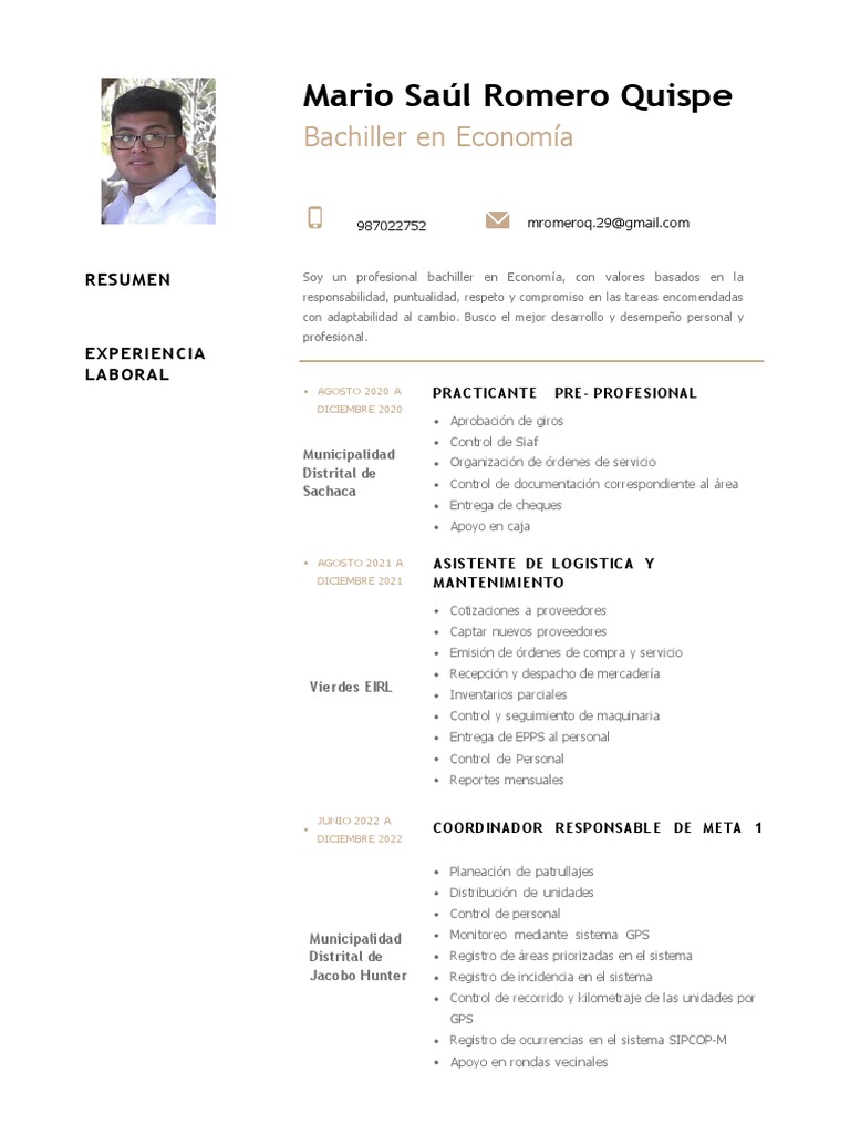 CV - Mario Romero 2 | PDF