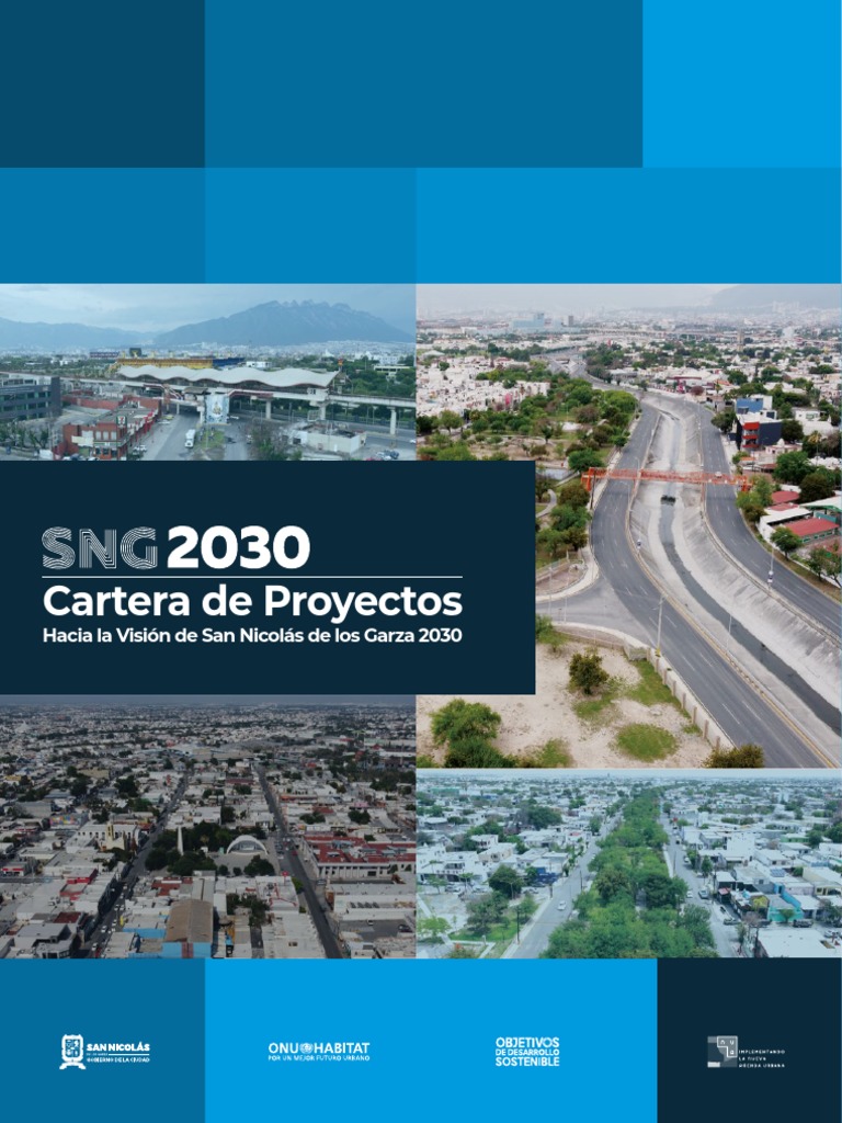 Cartera de Proyectos Estratégicos SNG | PDF