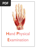 Comprehensive Hand Examination Guide | PDF | Hand | Anatomical Terms Of ...
