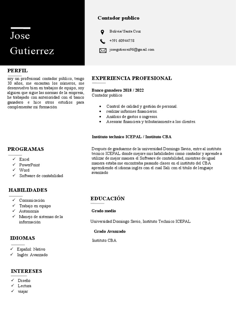 Curriculum | PDF | Contabilidad | Contador