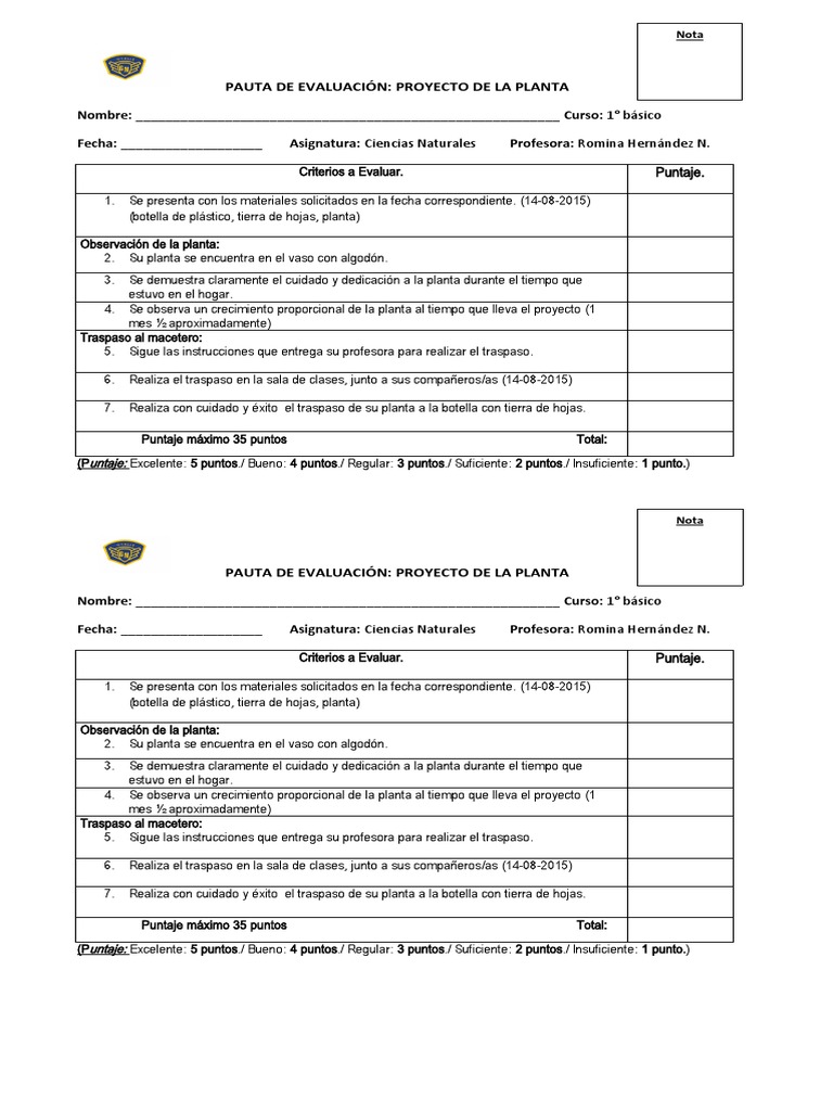 Pauta de Evaluación - PROYECTO PLANTA | PDF