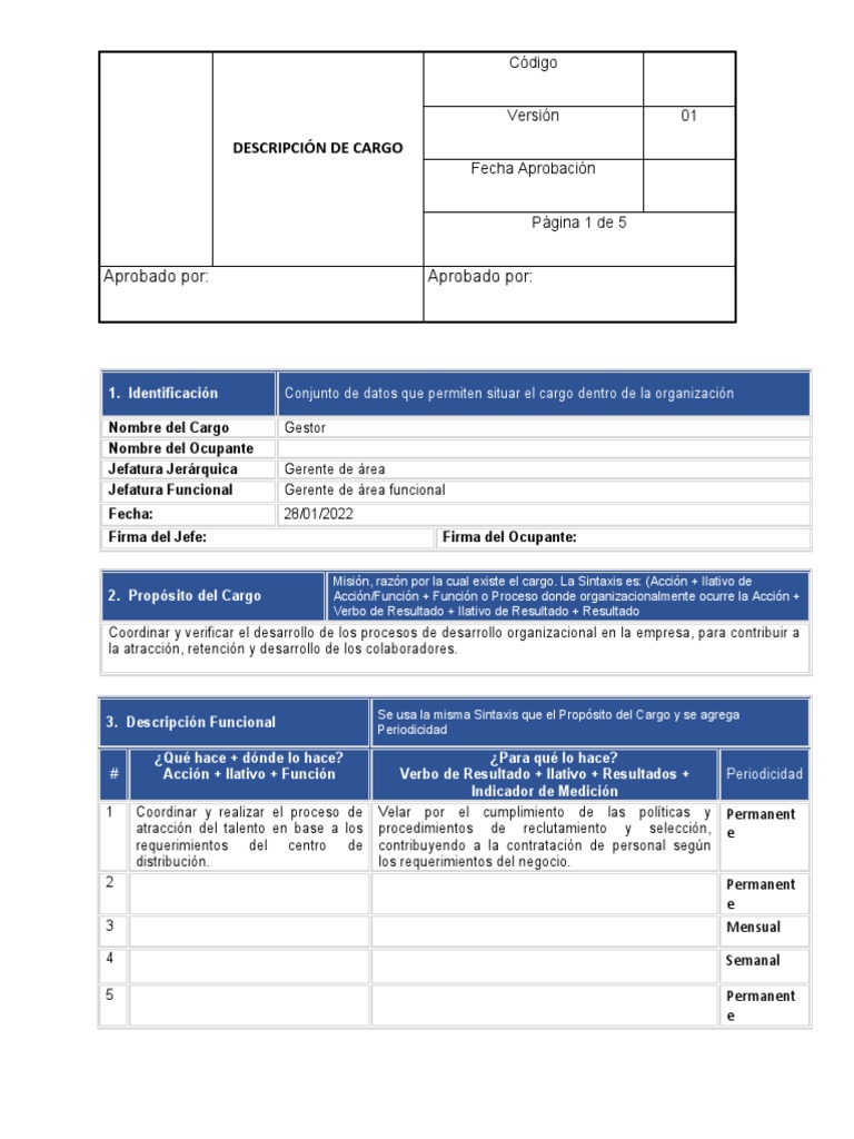 Formato Ejemplo Descripción de Cargo | PDF | Presupuesto | Business