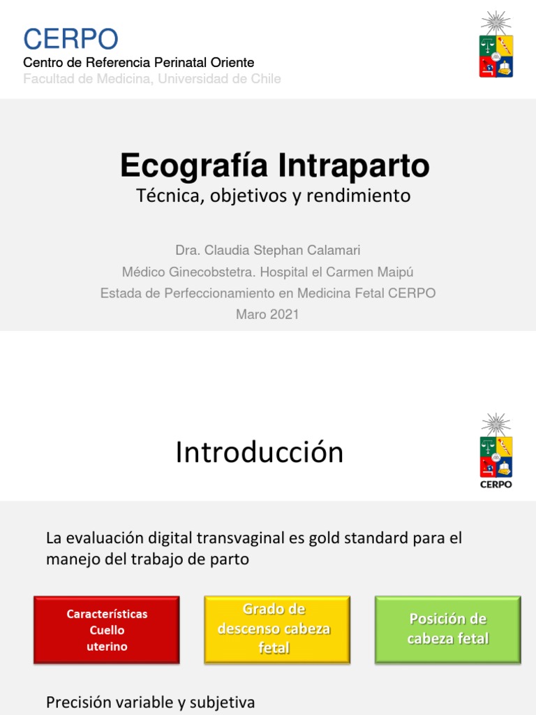 Ecografia Intraparto Dra Claudia Stephan - Archivo | PDF