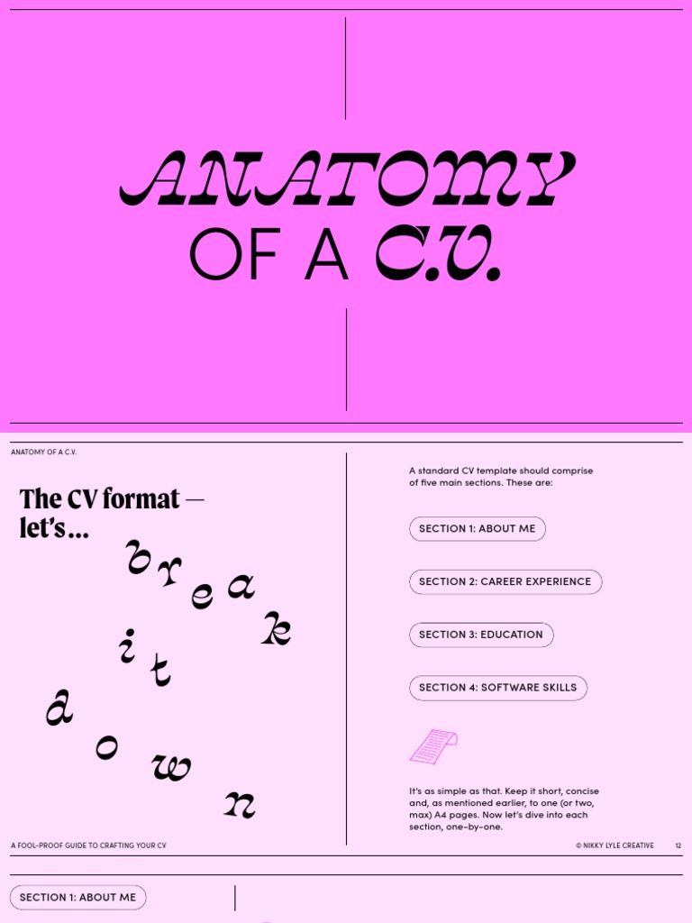U3 01 CV Anatomy | PDF