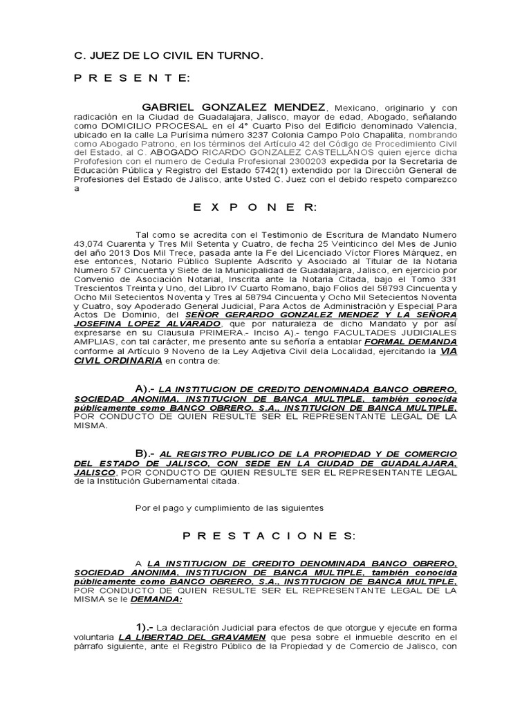 Demanda Proyecto Accion Negatoria | PDF Demanda Proyecto Accion Negatoria | PDF