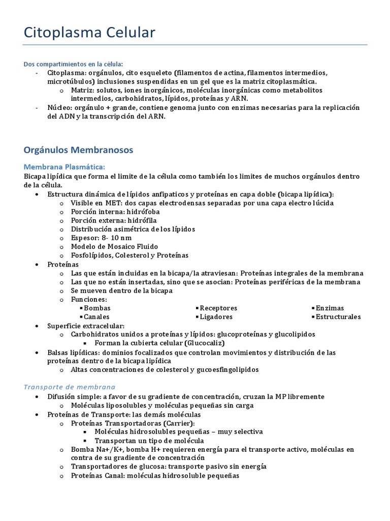 Citoplasma Celular Final | PDF | Citoplasma | Mitocondria
