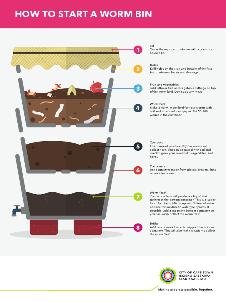 How To Start A Worm Bin - Poster | PDF