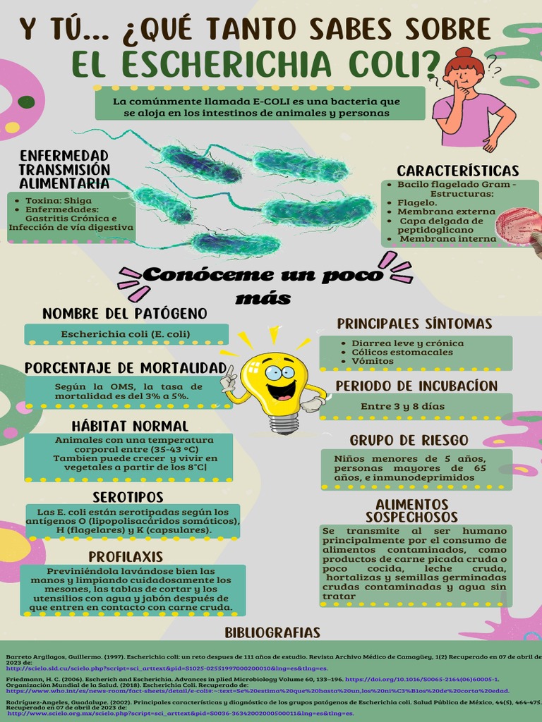 Y TU... QUÉ TANTO SABES SOBRE El Escherichia Coli | PDF | Escherichia ...