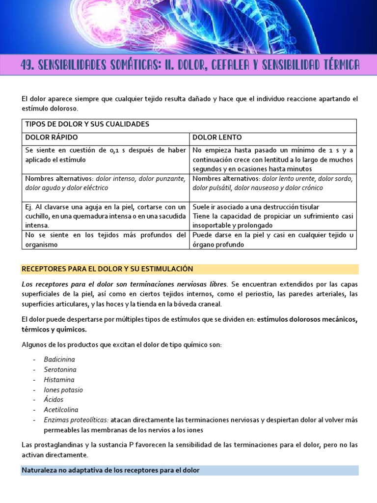 Cap 49. Sensibilidades Somáticas II. Dolor Cefalea y Sens Termica | PDF | Relaciones personales ...
