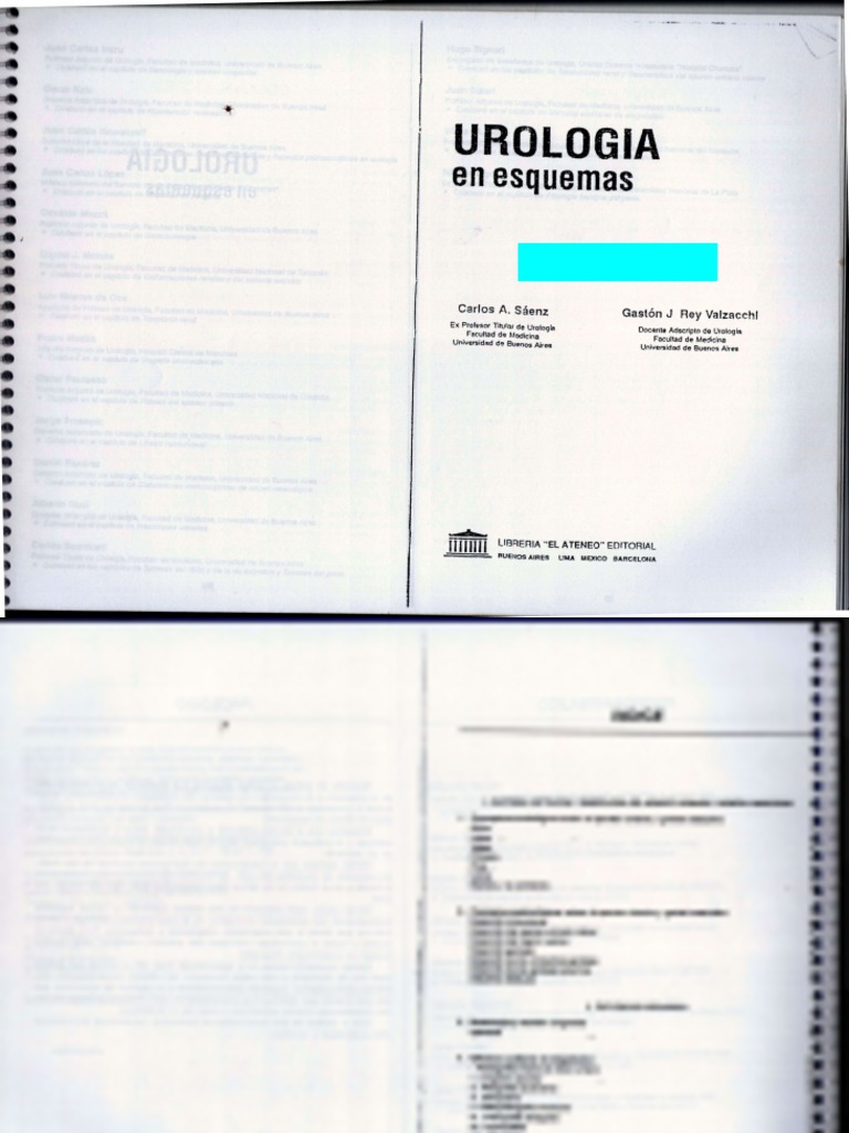 Libro Urologia en Esquemas | PDF
