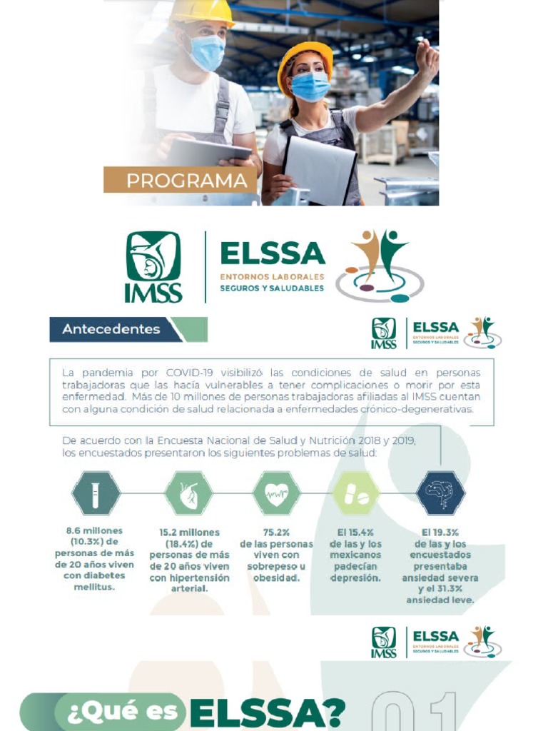 Programa ELSSA: Salud Laboral IMSS | PDF
