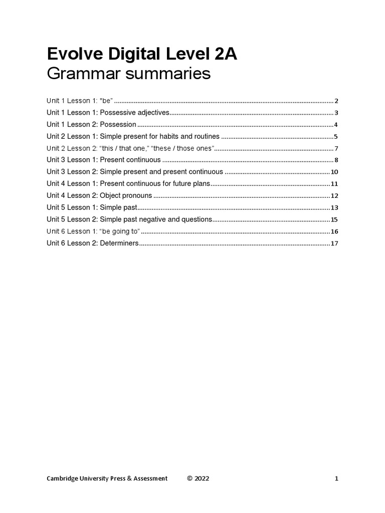 Evolve Digital Level 2A Grammar Summaries | PDF