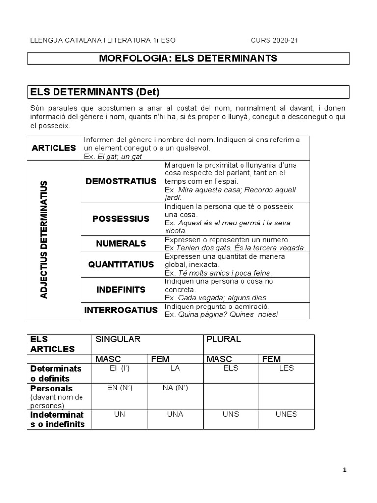 Els Determinants I El SN | PDF
