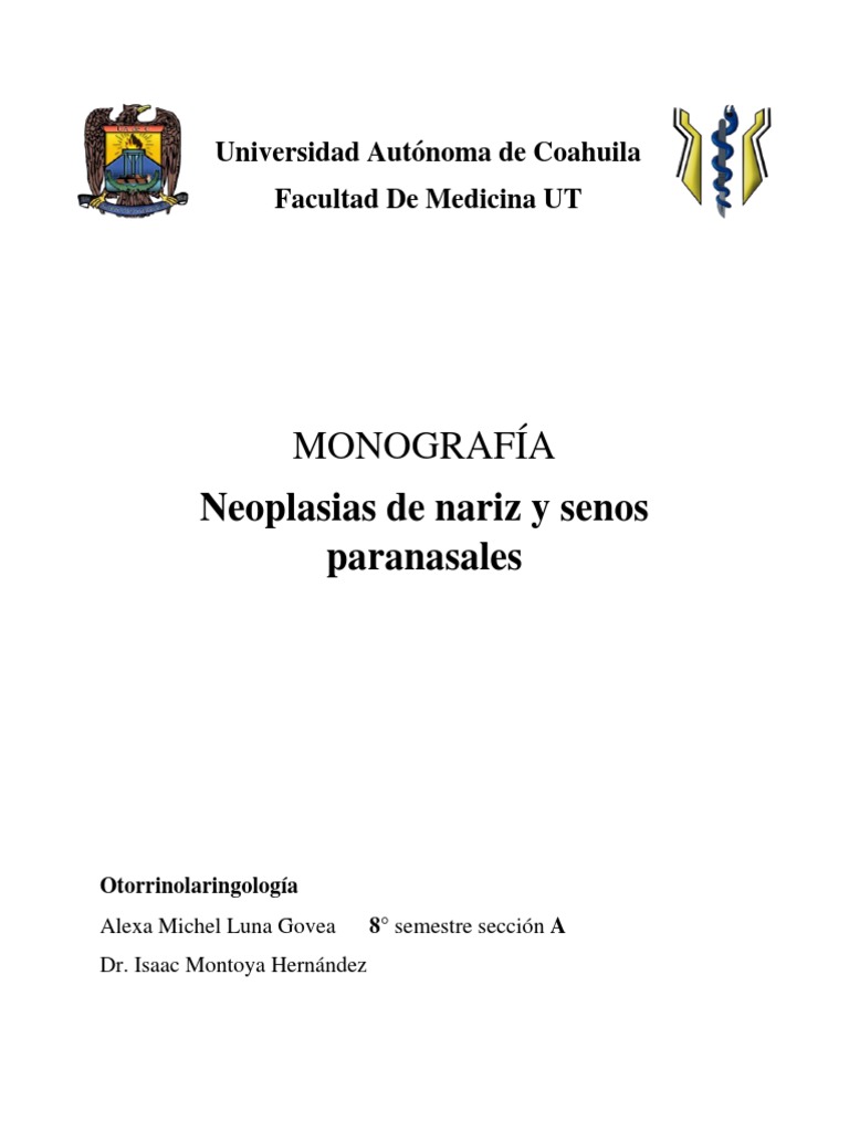 Monografia Neoplasias de Nariz y SPN Orl | PDF