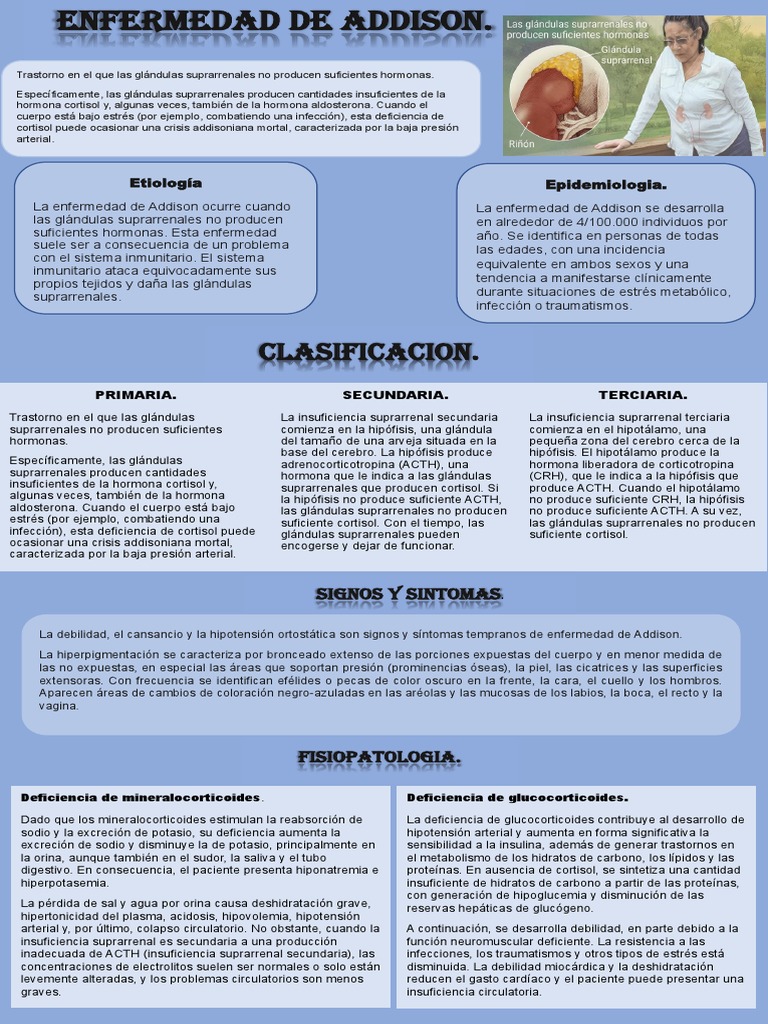 Infografía Enfermedad de Addison | PDF