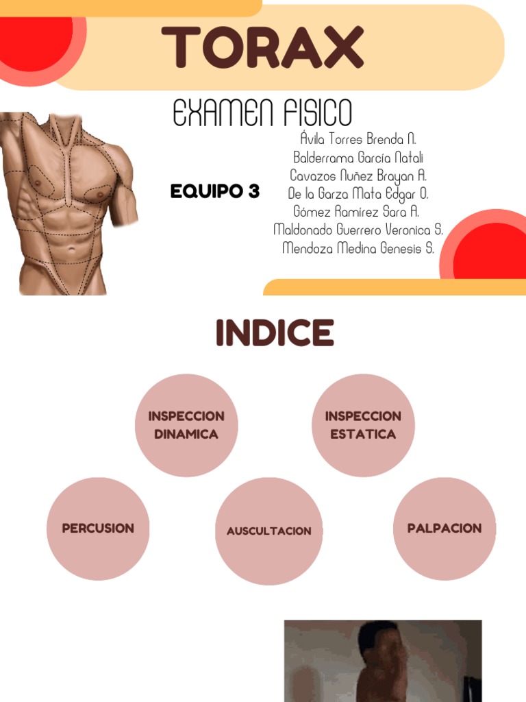 TORAX Examen Fisico EQ3 | PDF | Tórax | Anatomía