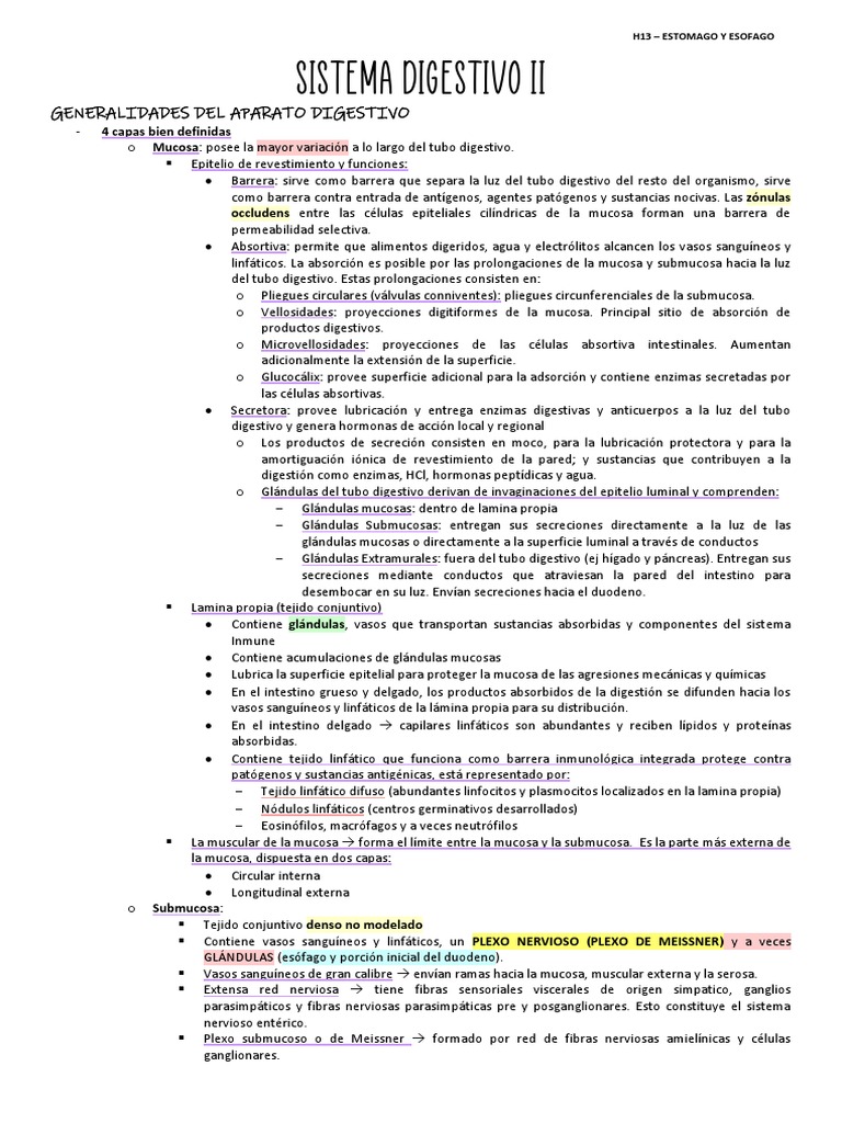 H14 Sistema Digestivo II | PDF