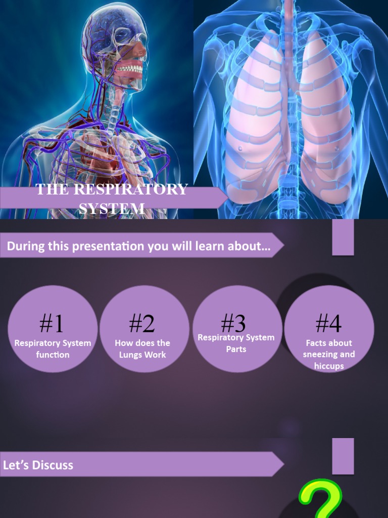 The Respiratory System | PDF | Respiratory System | Lung