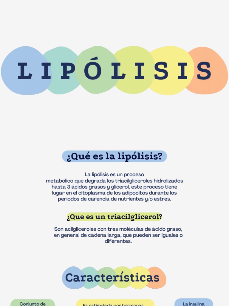 Tema 2. Lipólisis | PDF