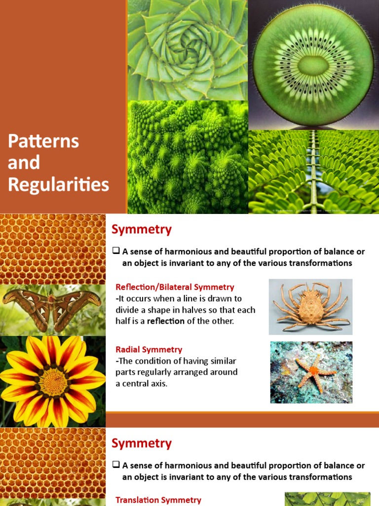 Lesson 1.3 Patterns and Regularities | PDF | Pattern | Symmetry