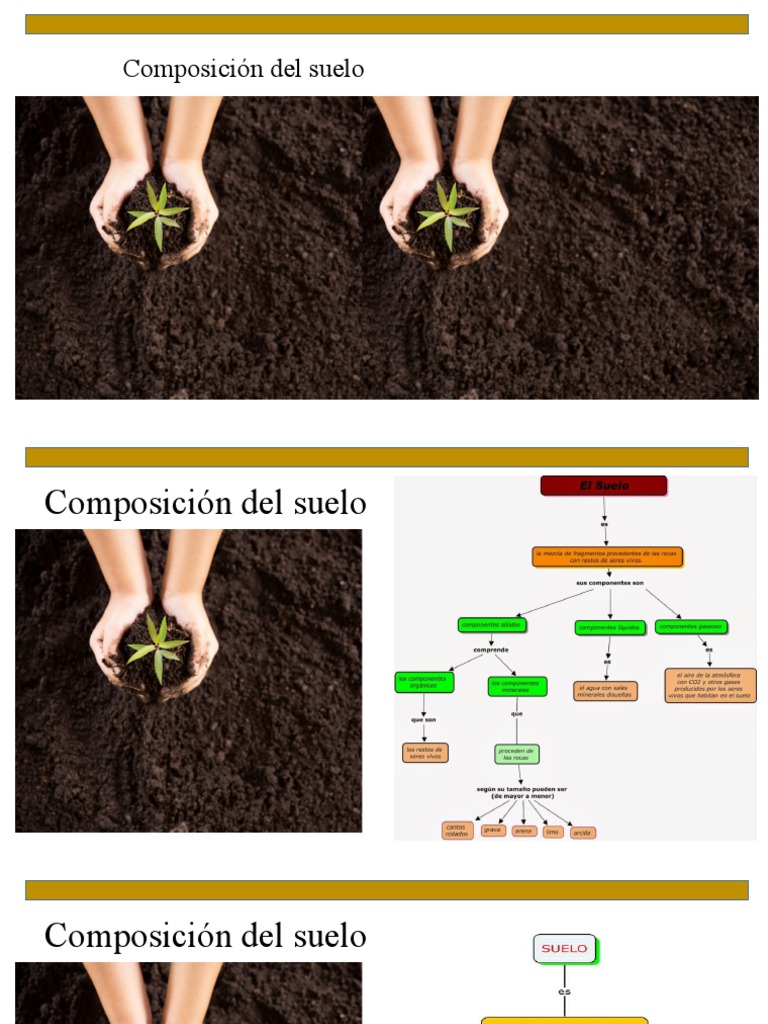 Composición Del Suelo | PDF