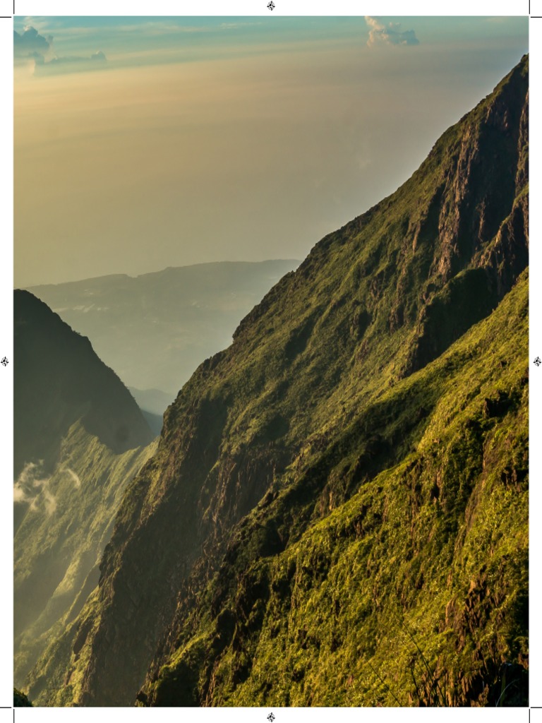 MGGNP CTB Rev 17-04-23 Final | PDF | Organisms