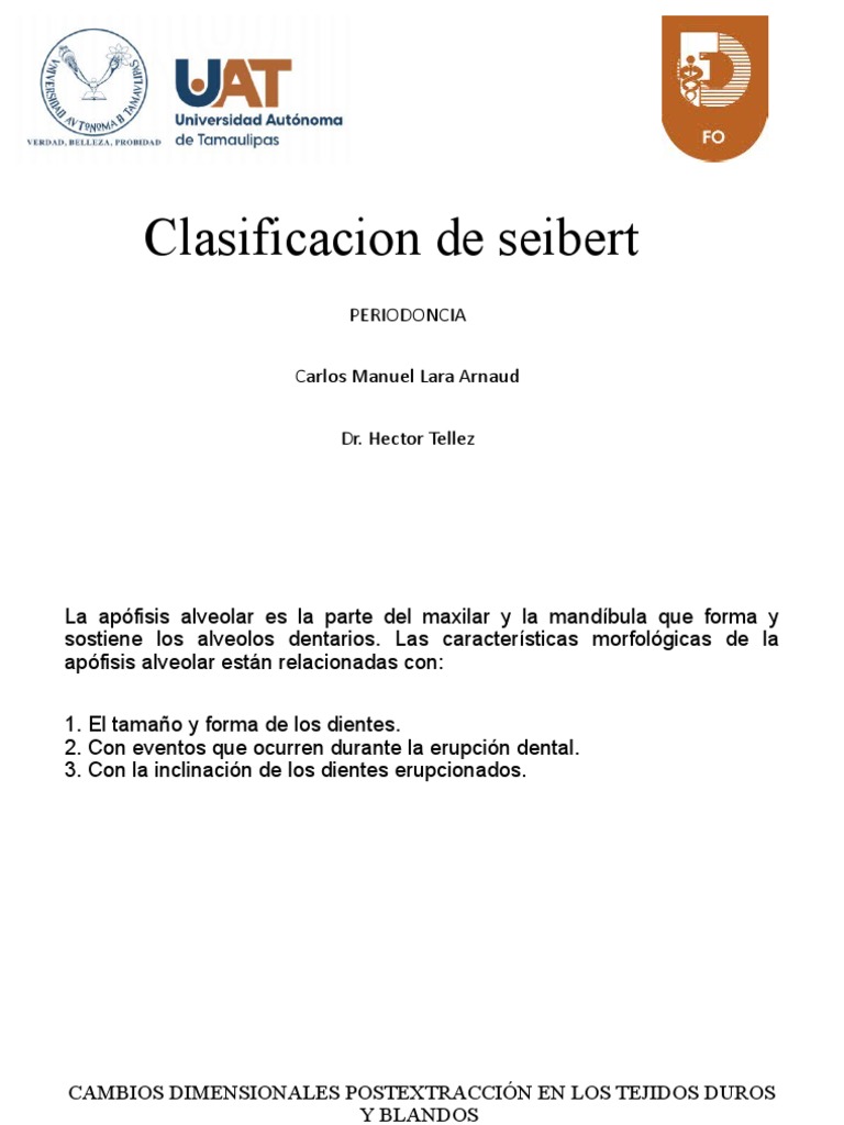 Clasificacion de Seibert | PDF